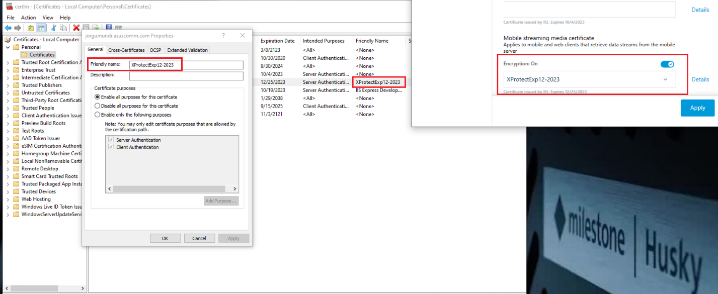 Top SSL certificate issues